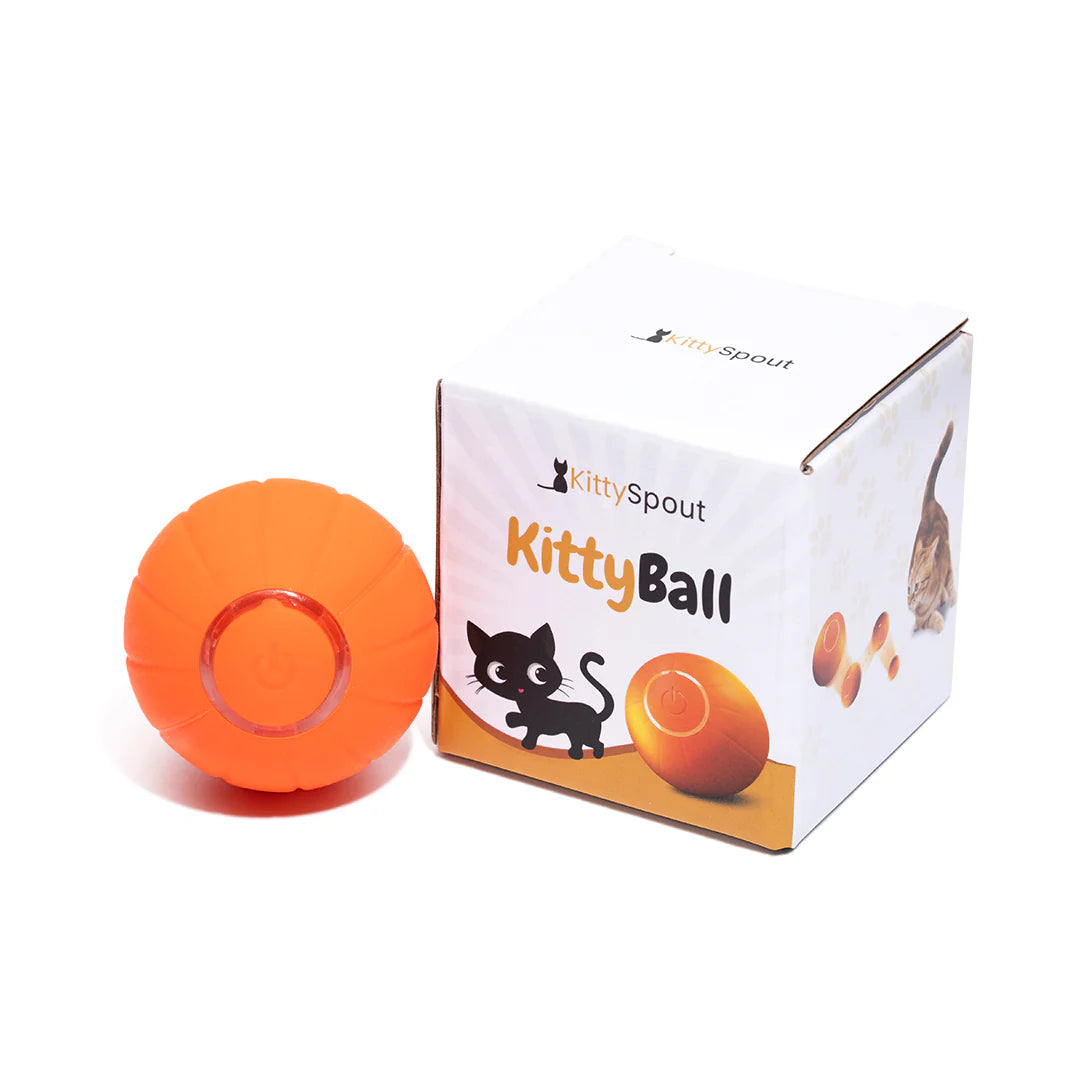 KittySpout The KittyBall Smart Cat Ball, 2-Pack - Easy To Use – VIP Outlet