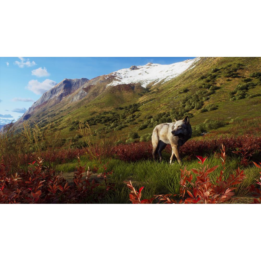 THQ Nordic Way of the Hunter: Wild Expeditions PlayStation 5 Hunting G ...