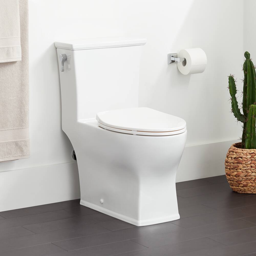 Carraway One-Piece Elongated Toilet - White – VIP Outlet