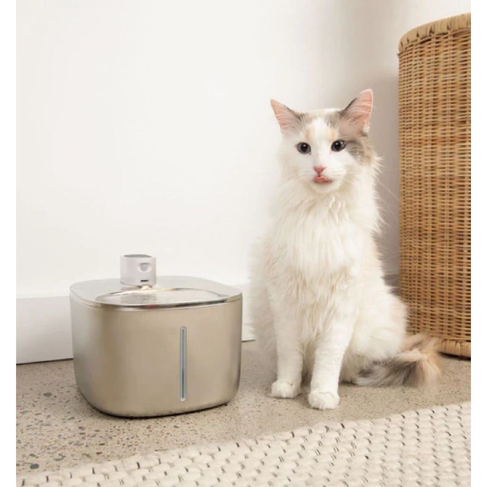The KittySpout Wireless KittySpout Value Bundle – VIP Outlet