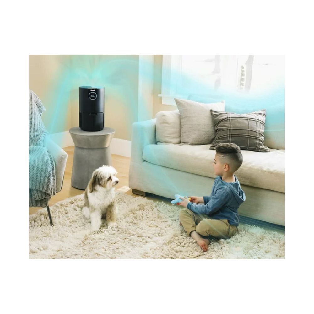 Shark HP100 Air Purifier with NanoSeal HEPA 500 Sq Ft – VIPOutlet